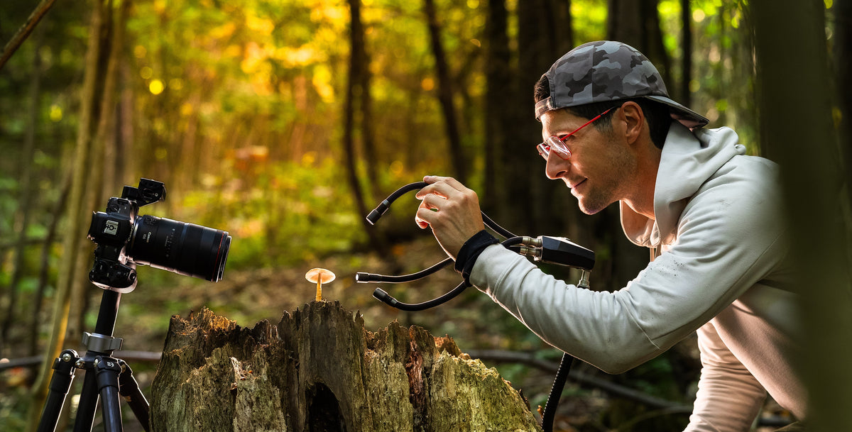 Flexible LED Lights for Macro Photography | Daniel Aucoin – Daniel ...